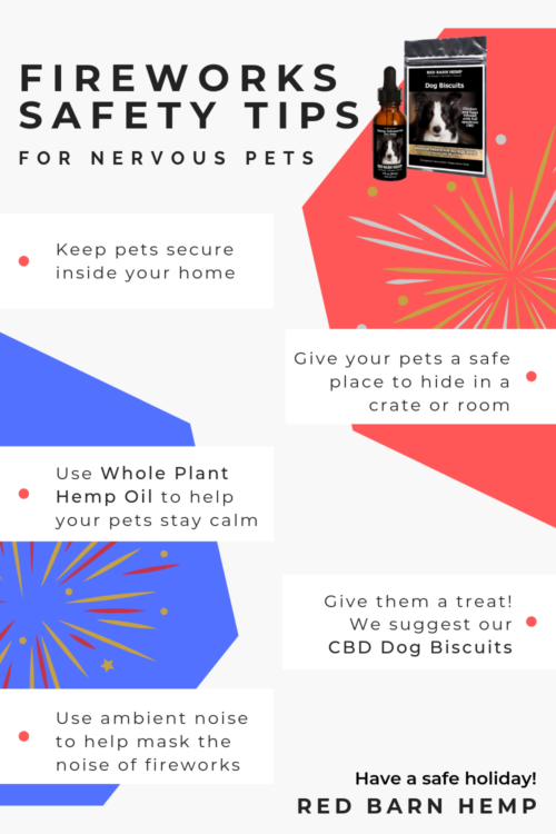 Firework Safety Tips for Nervous Pets - Red Barn Hemp Products